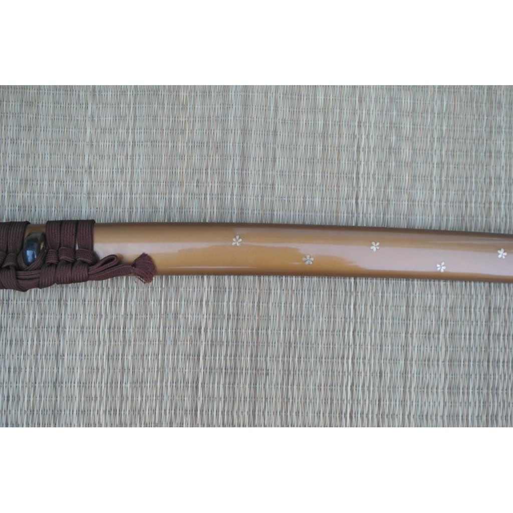 Bushido Katana: Premium Hand-Forged Samurai Swords for Sale